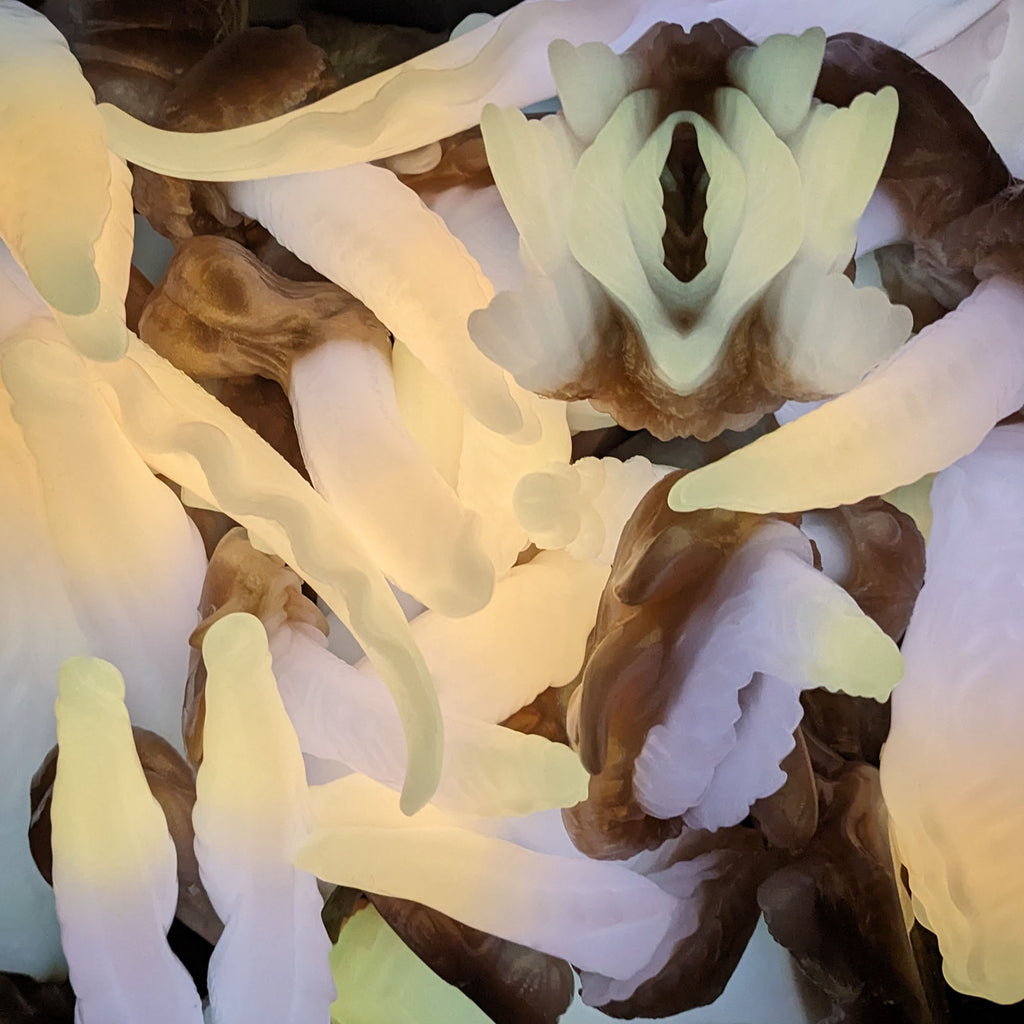 Project LK-3R, Platinum Silicone Body Horror Dildo – Hodge Podge